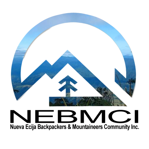 Bongabon, Nueva Ecija: The Onion Capital of the Philippines - Nueva ...